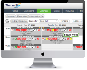 Secure Video Conferencing for Healthcare Professionals - Therasoft