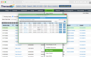 Streamline Claims Processing with Therasoft Software