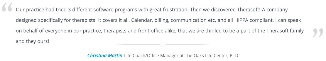 Secure Video Conferencing for Healthcare Professionals - Therasoft