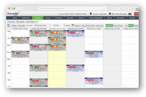 Therasoft Product - Comprehensive Solutions for Healthcare Providers